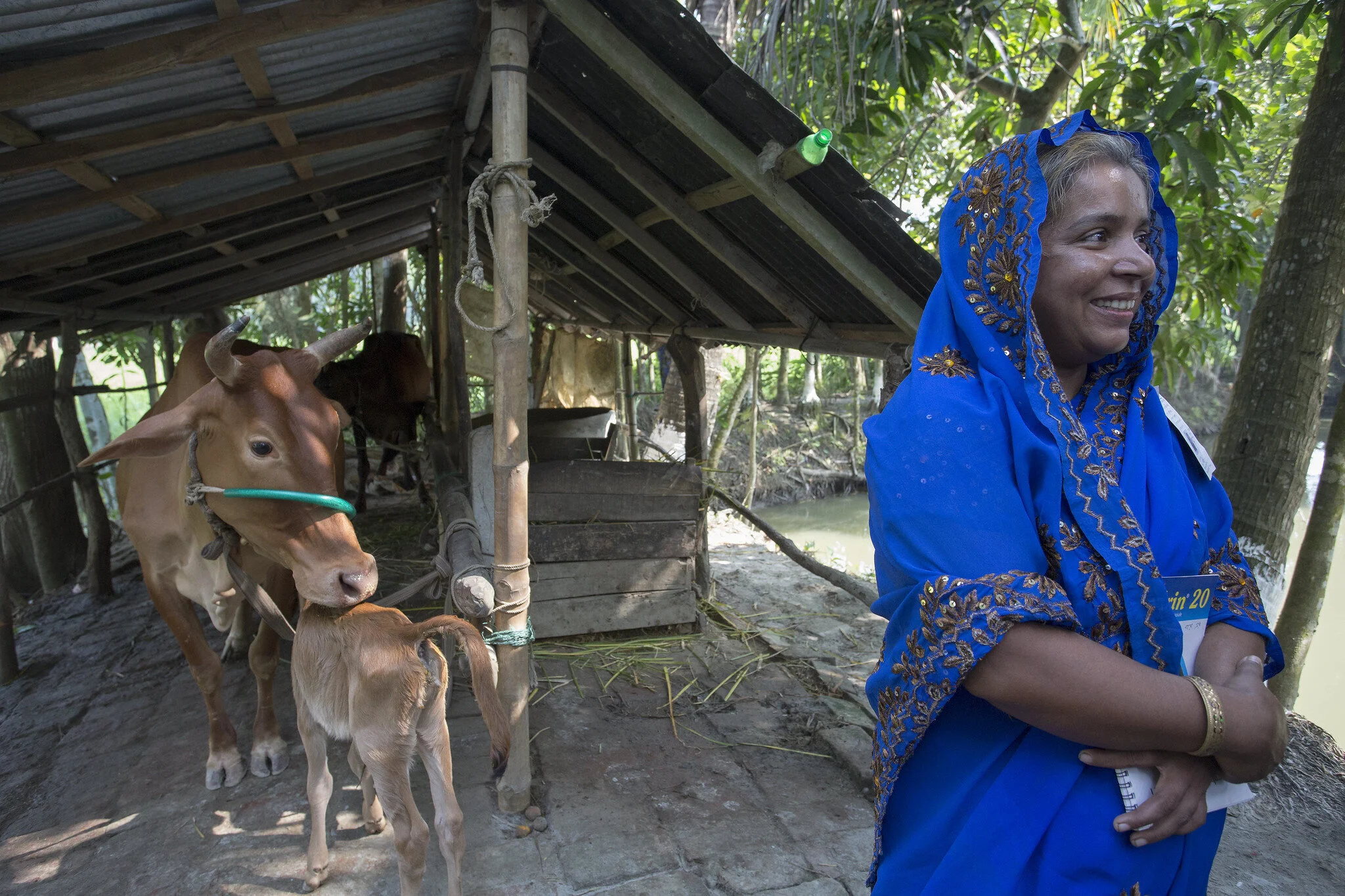 The importance of being timely in climate disaster response — Centre ...