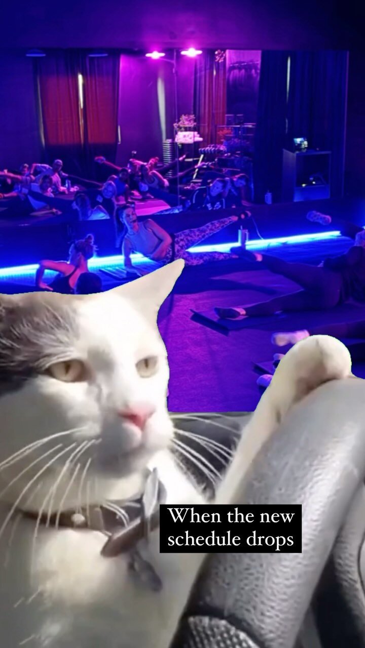 Classes | Cycle Thirty Three