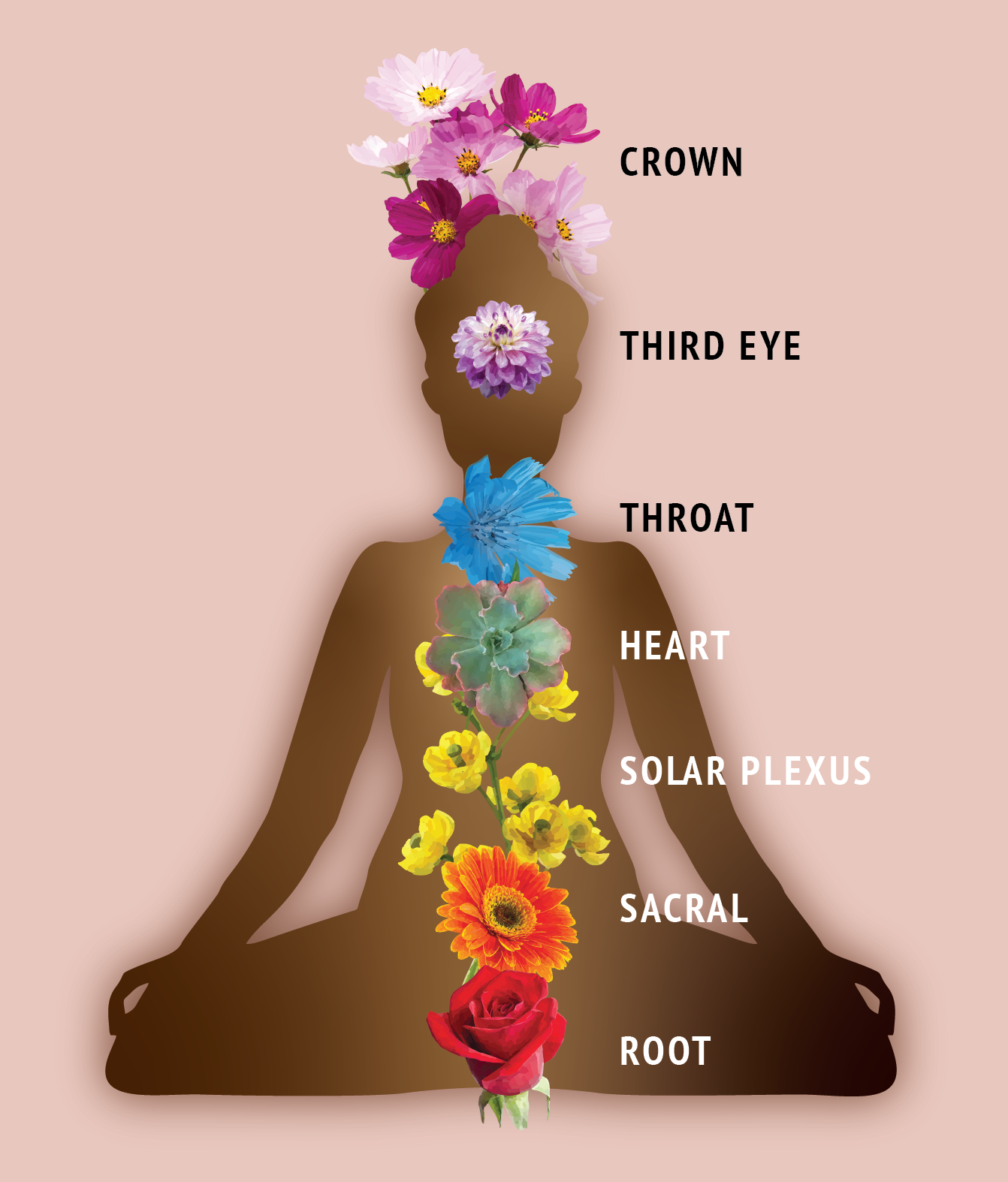 Chakramation For the Modern Spiritual Seeker