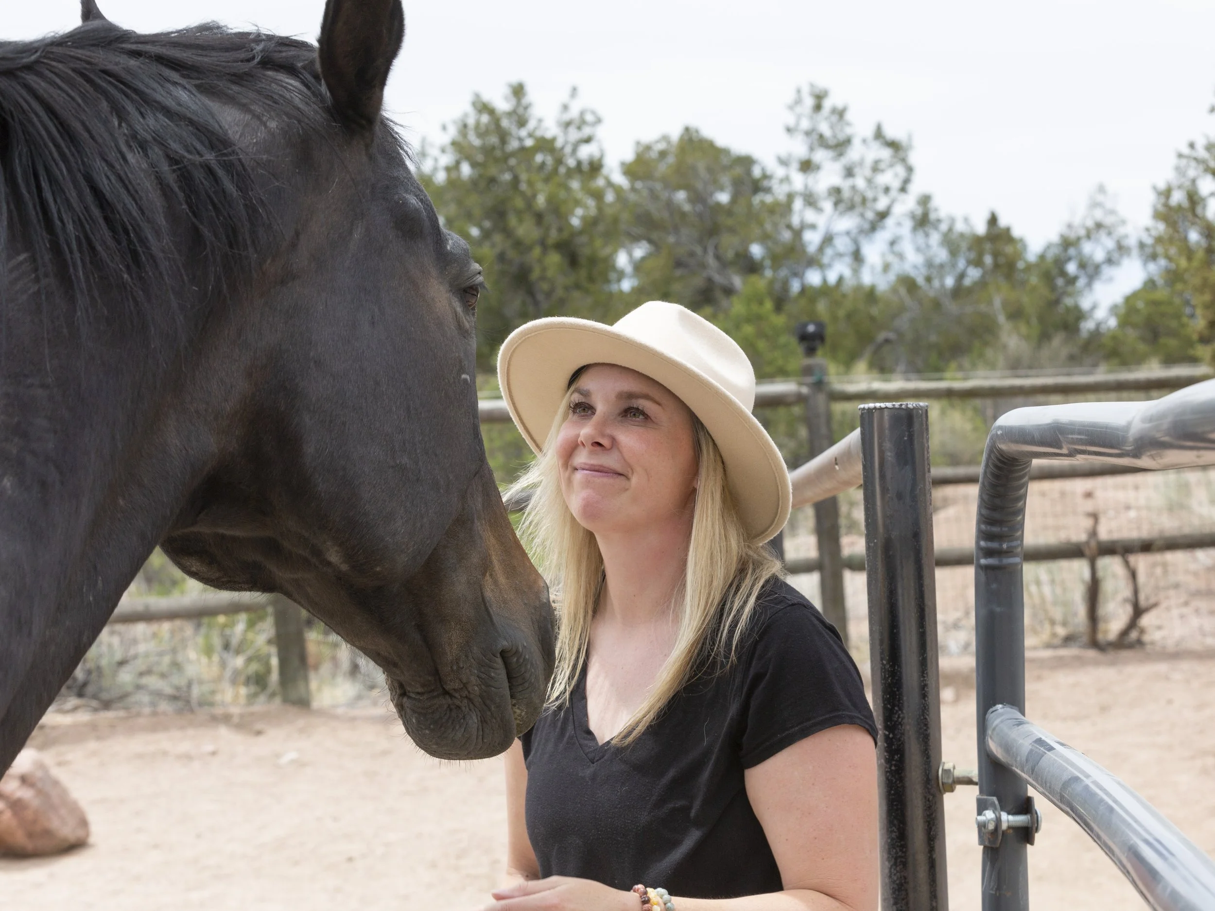 EQUUS Certification Training