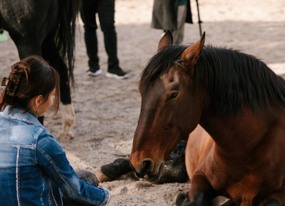 Unbridled - Rewilidng Feminine Agency