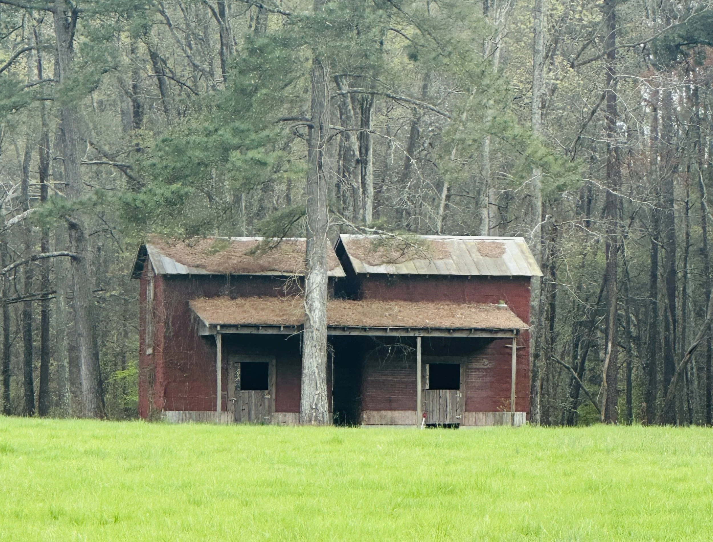 Gallery 3 — Blue Sun