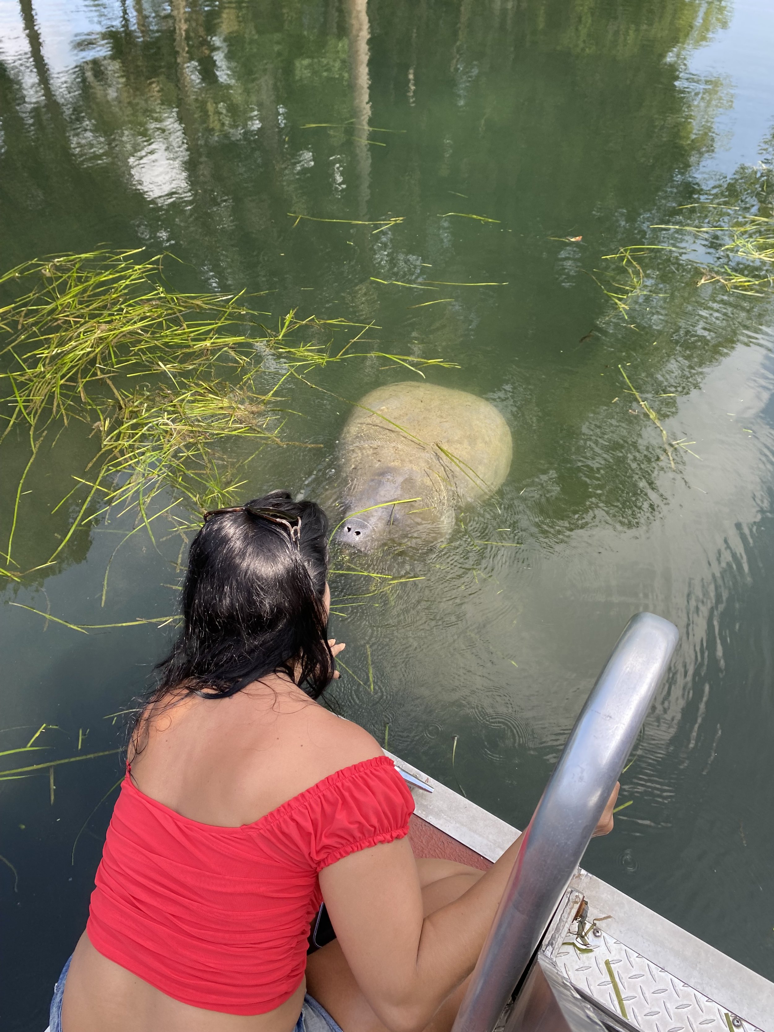 Go Local Manatee Tours | Crystal River, FL