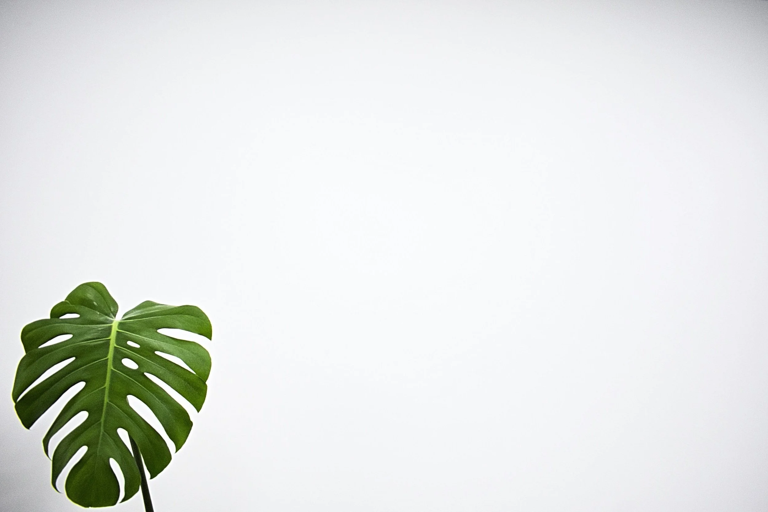 Queer Sex & Relationship Coach | Cherish Amber