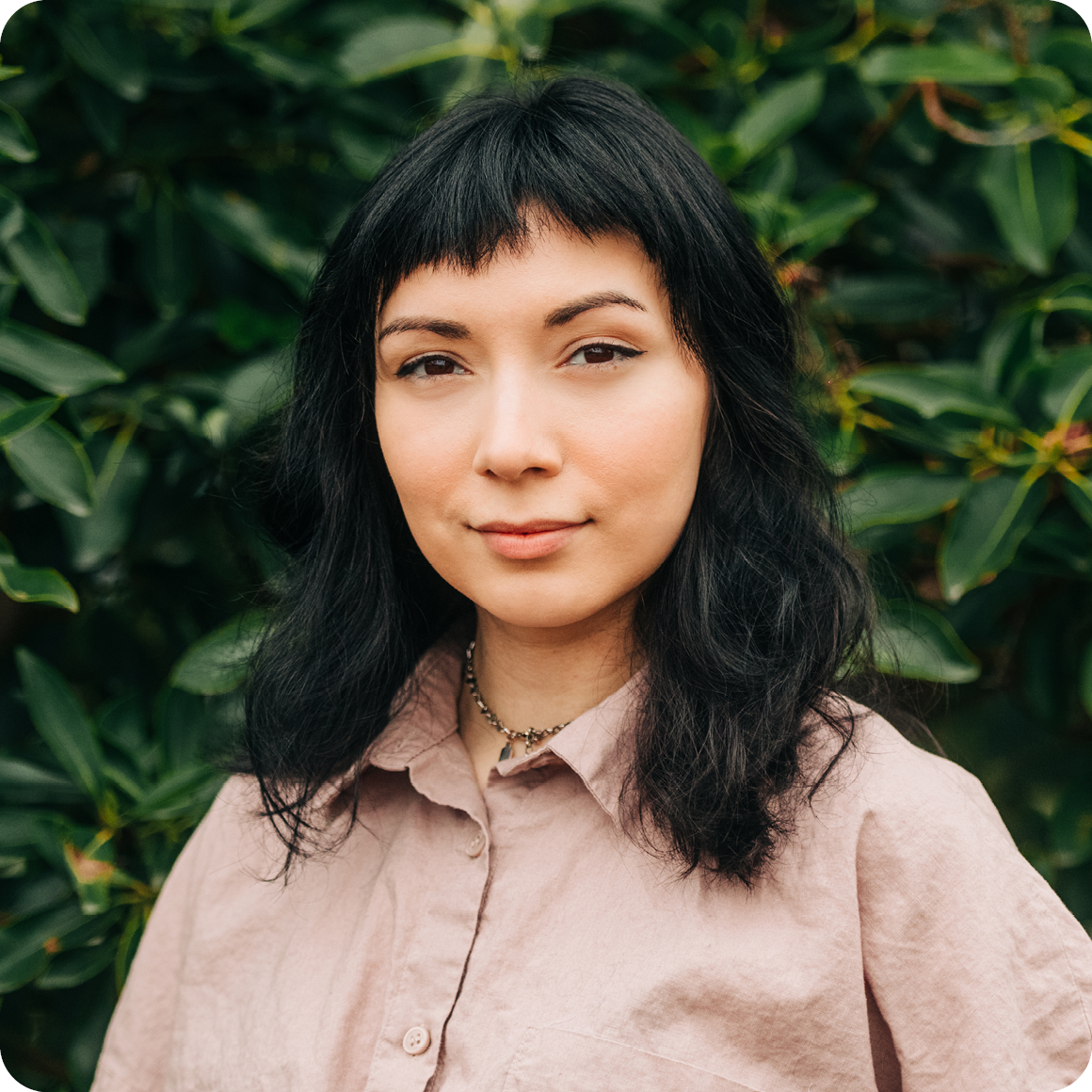 Our Team + Board of Directors — Green Canopy NODE