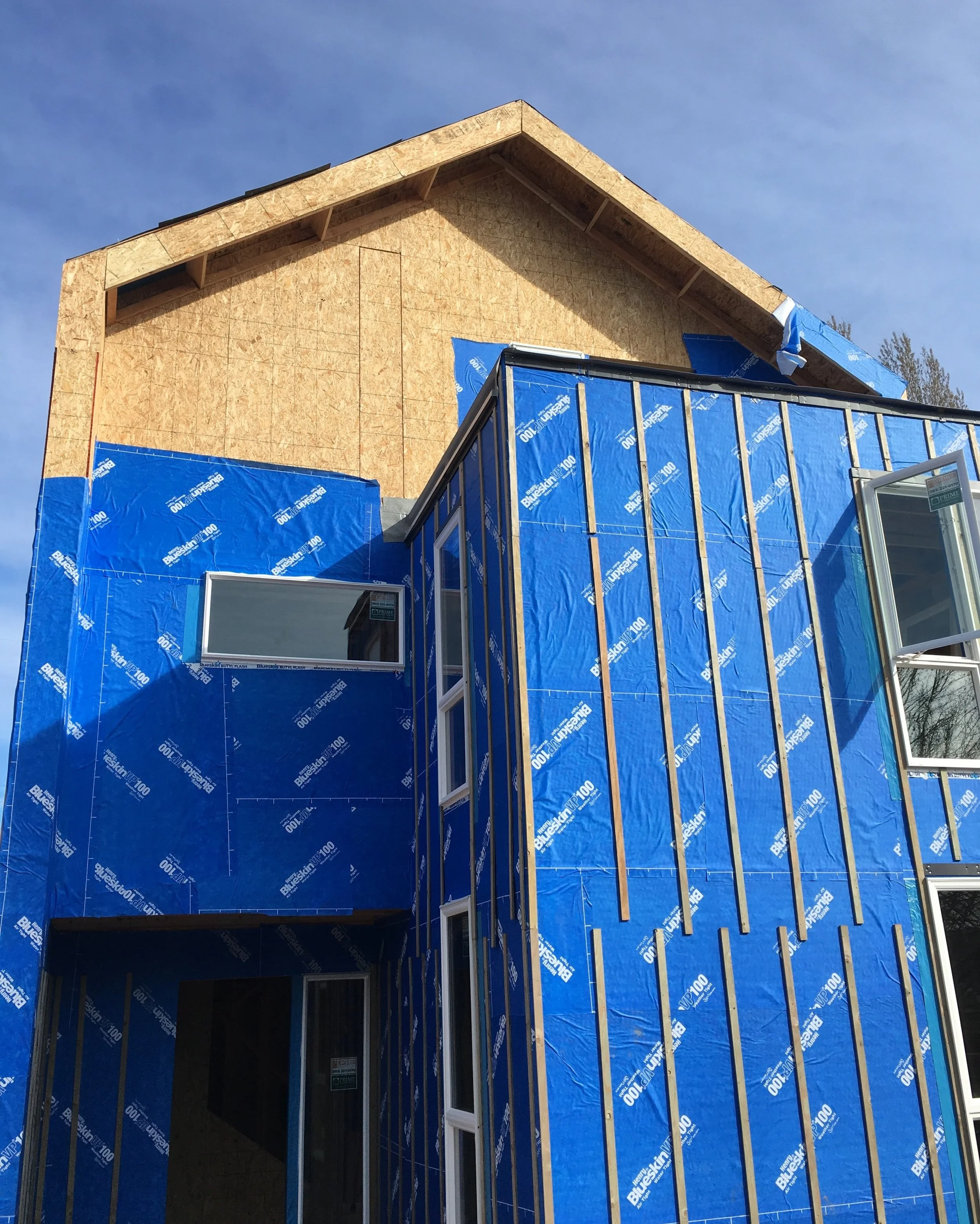 Healthy Homes Green Canopy Node