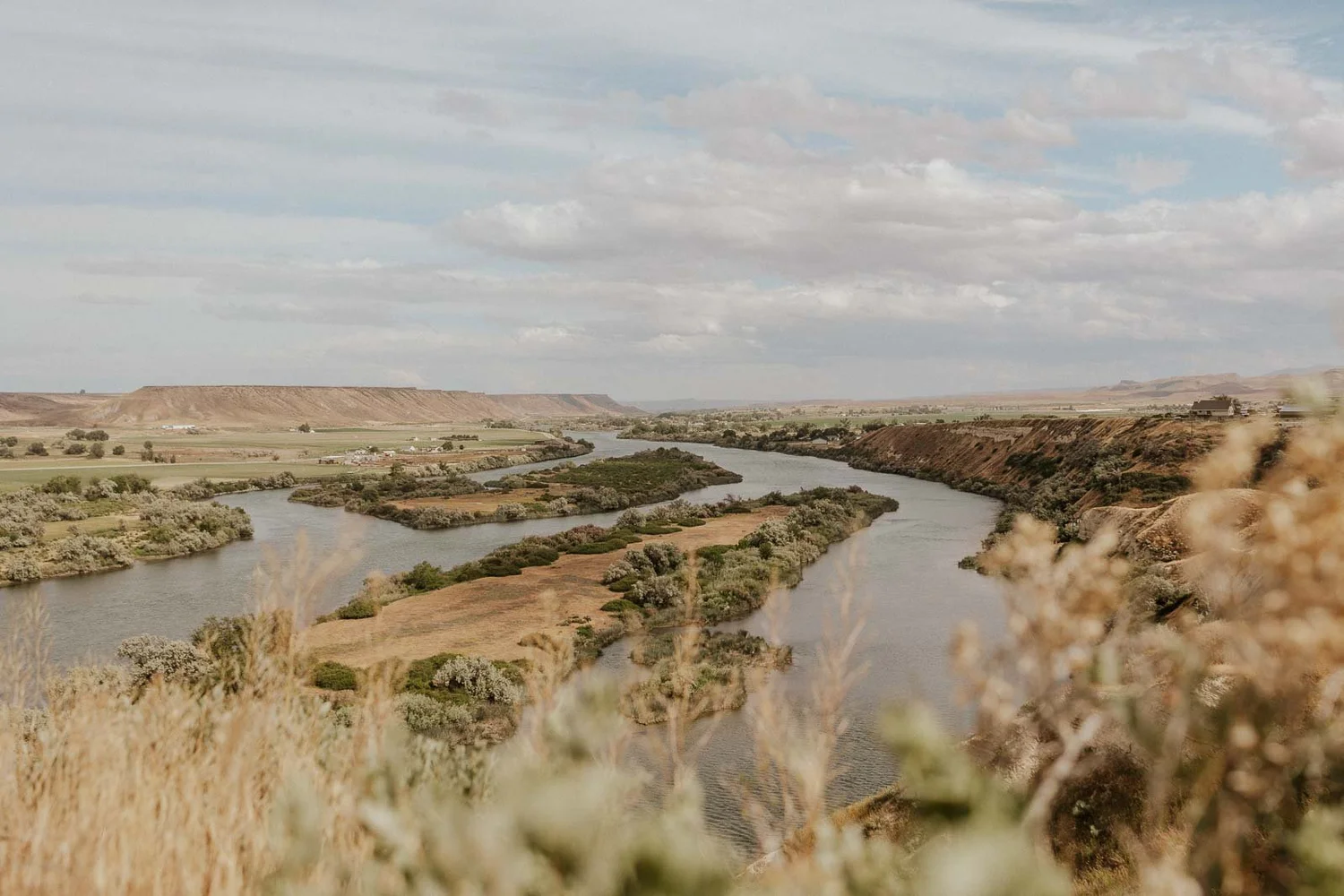 Amanda + Anthony // Riverside Pines Idaho Wedding