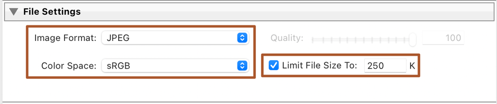 Lightroom Export Settings for Photographers
