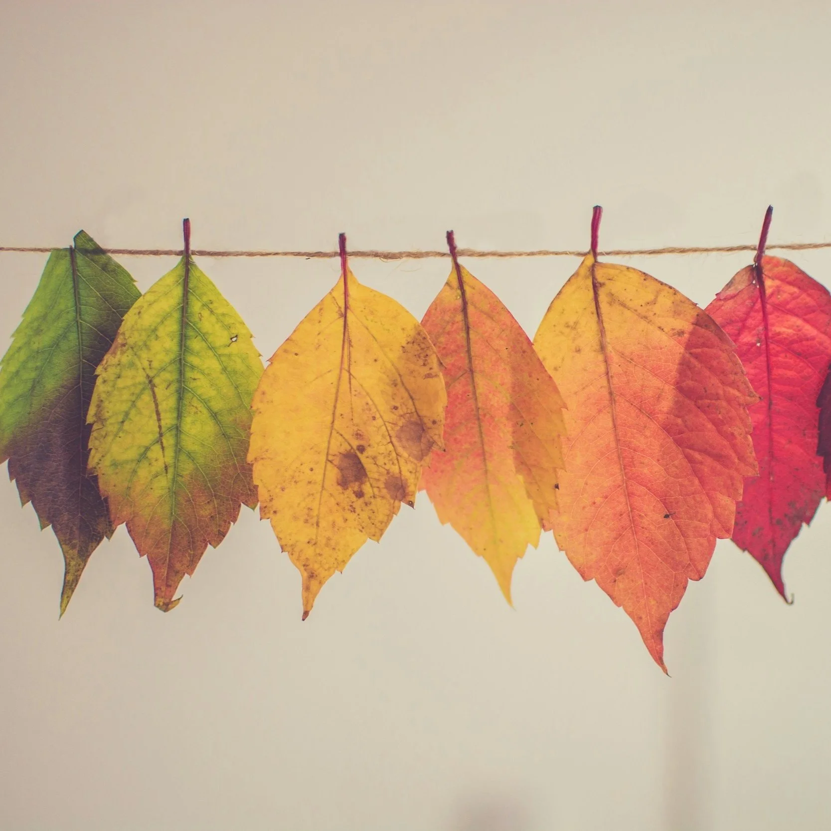 How to make change happen — Anxiety Therapy in San Francisco | Greg Bodin