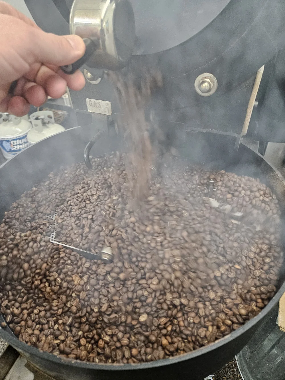 Seventh Square Coffee Shop and Roaster