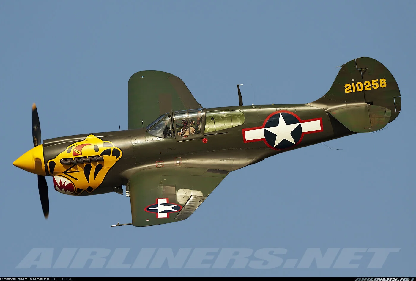 Experienced With More Than Fourteen Different Warbirds — Fagen Fighters ...