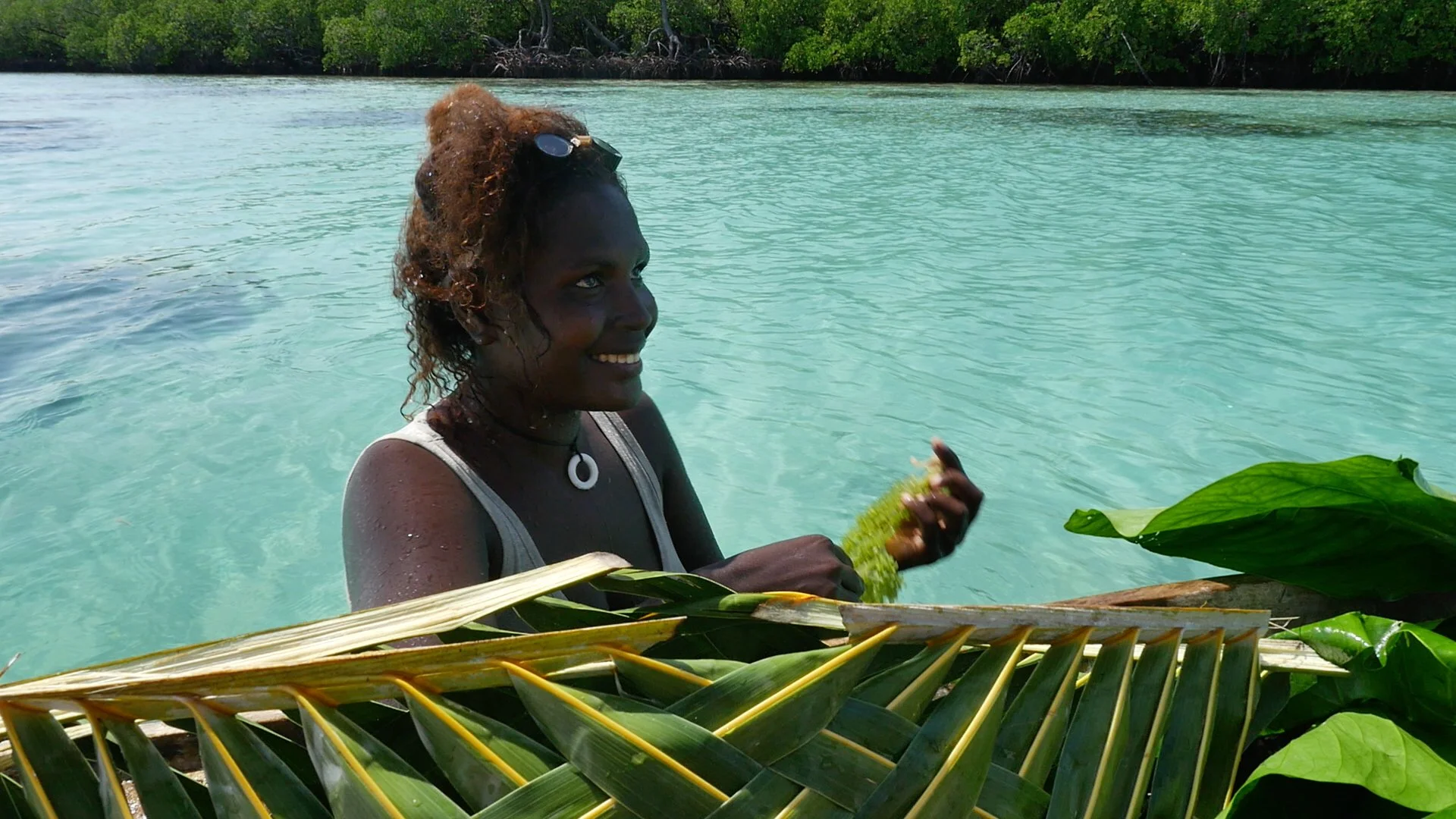 Nature-based Solutions Knowledge Hub — Climate Resilient by Nature