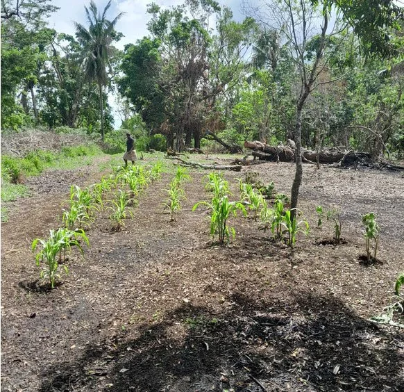 Ni-Vanuatu Women Leading Solutions to Climate Change — Climate ...