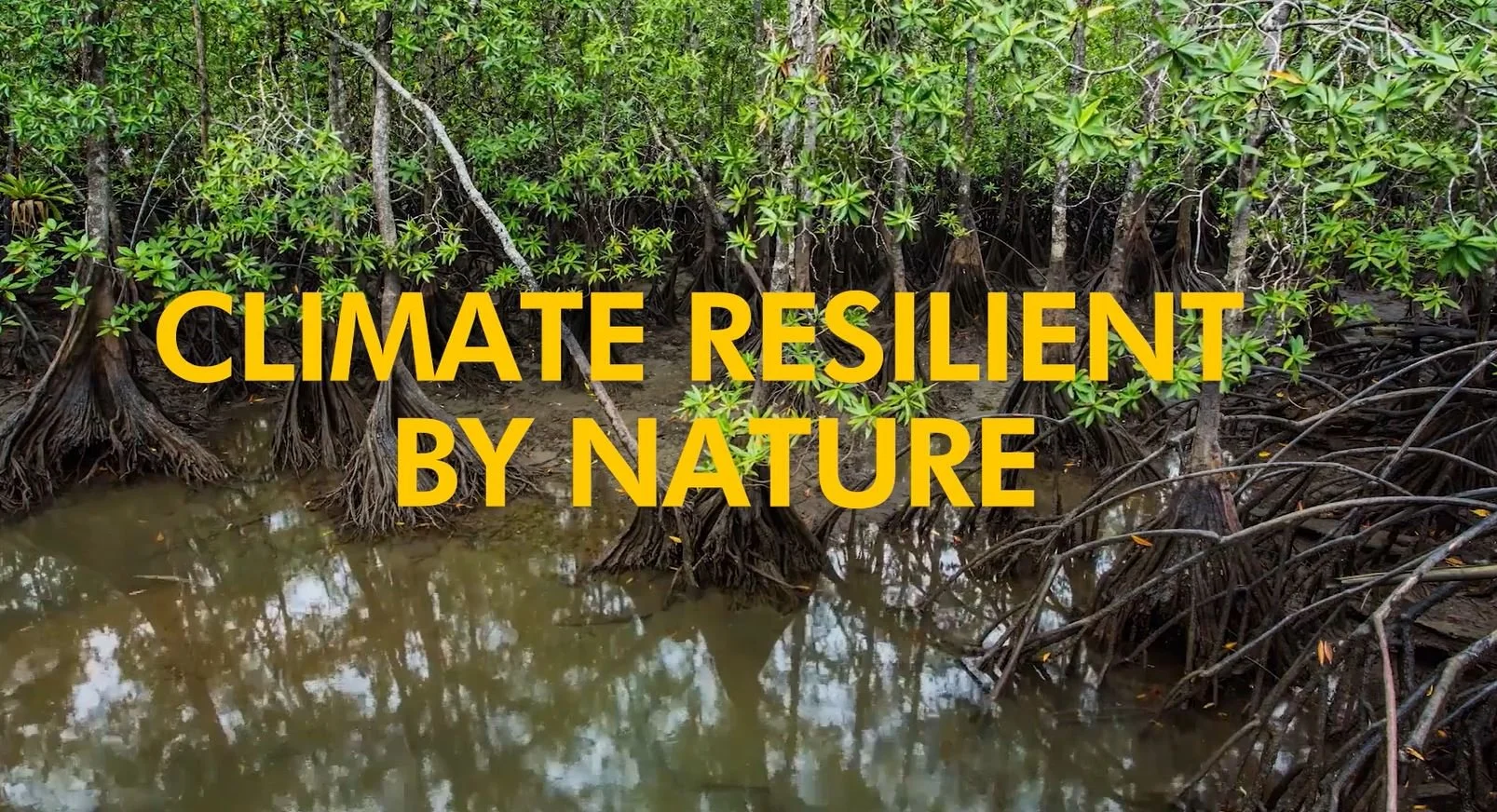 Climate Resilient by Nature