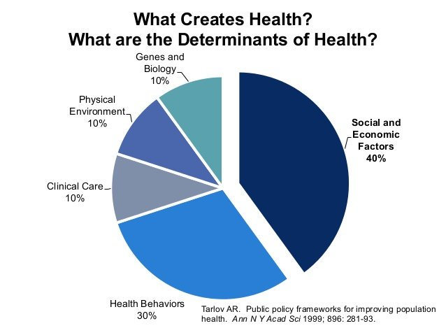 What determines our health? — Kimberly Smith Movement