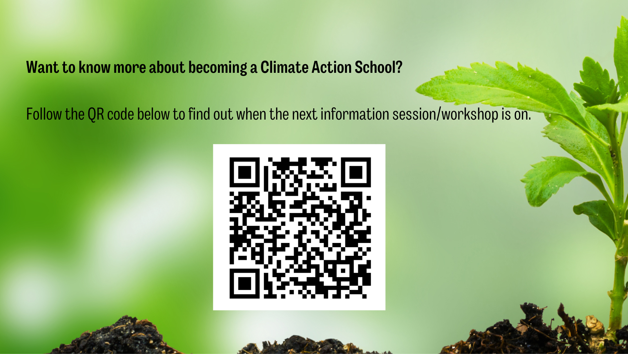 Contact Climate Action Schools