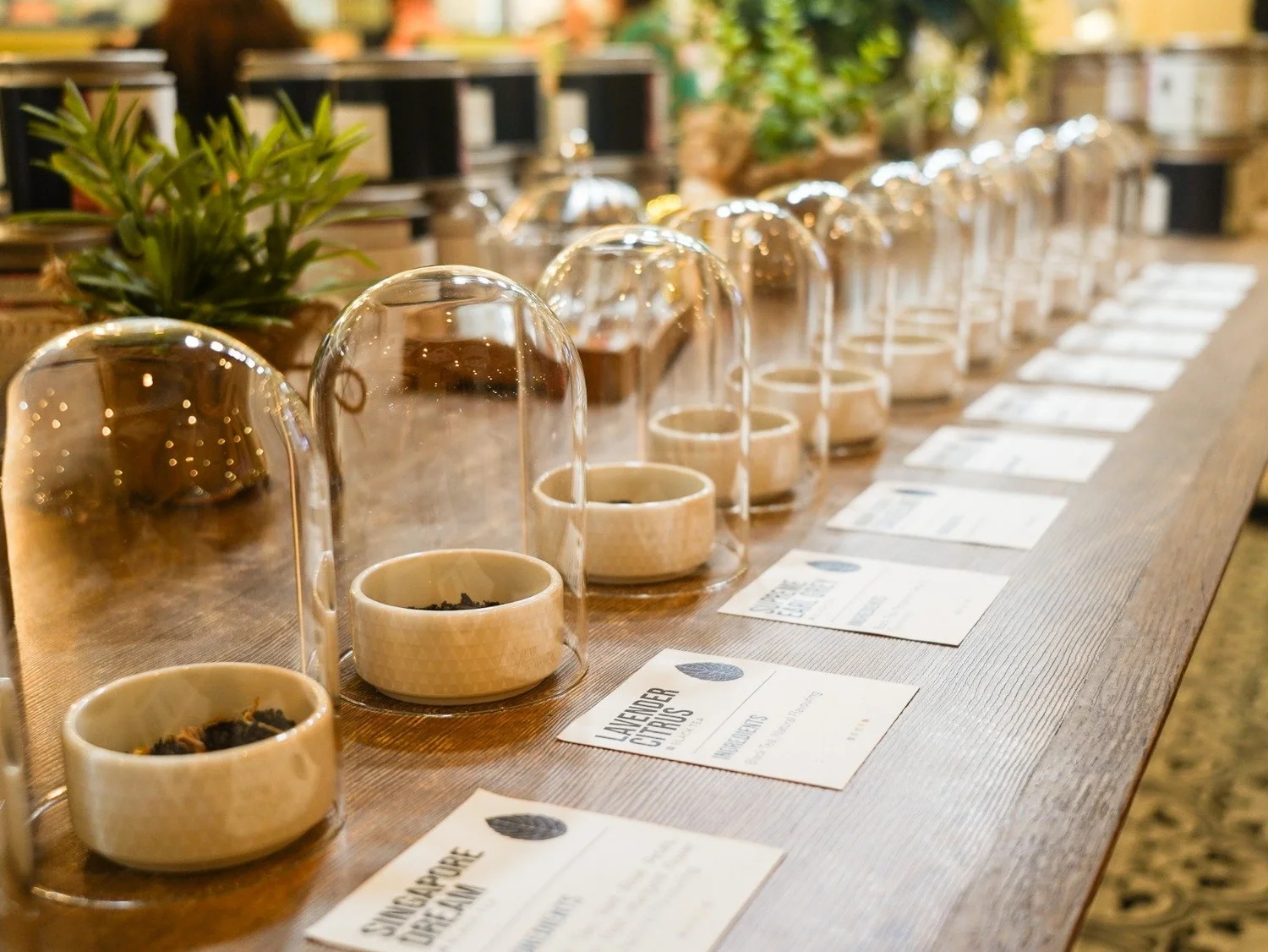Best Tea Break Spot in Singapore — Typhoon Cafe