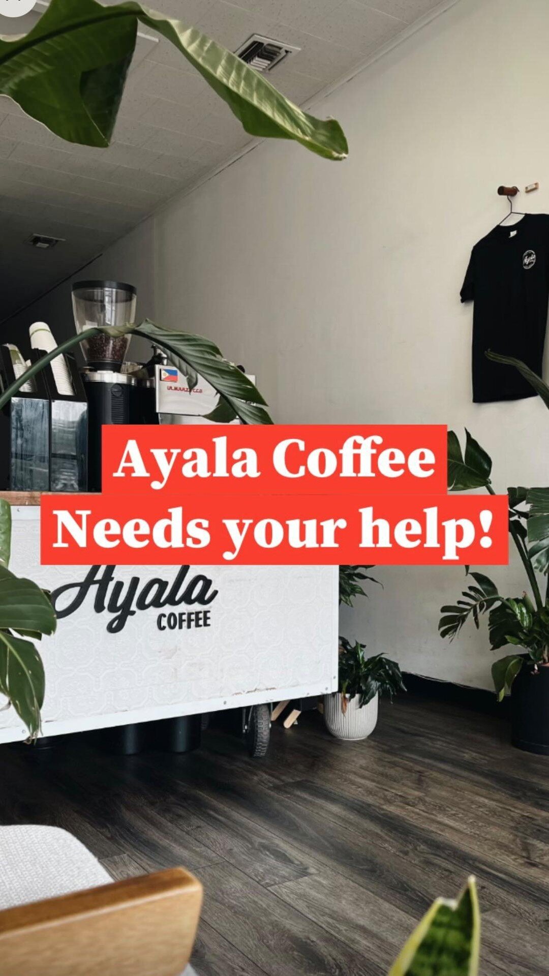 Ayala Coffee