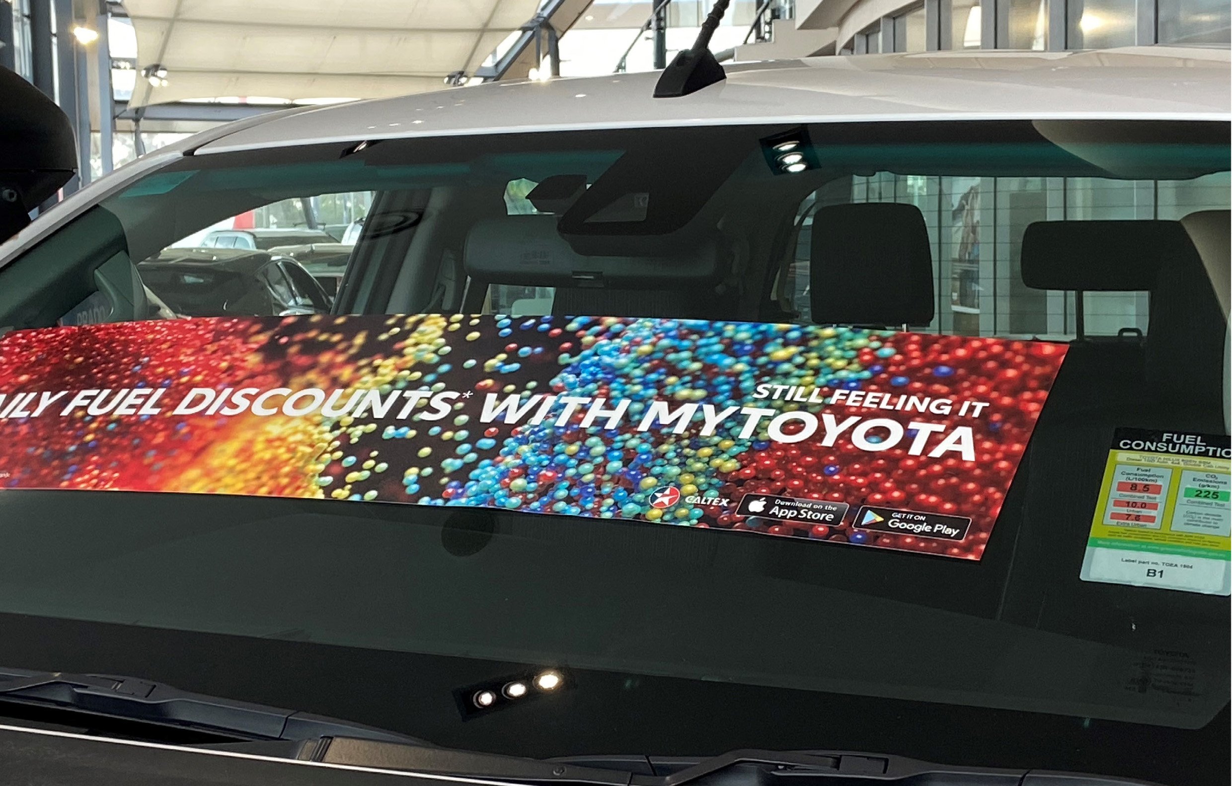 Clarke Murphy Print Sustainable Window Decals — CMP