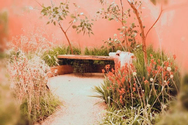 New Foliage Garden Design