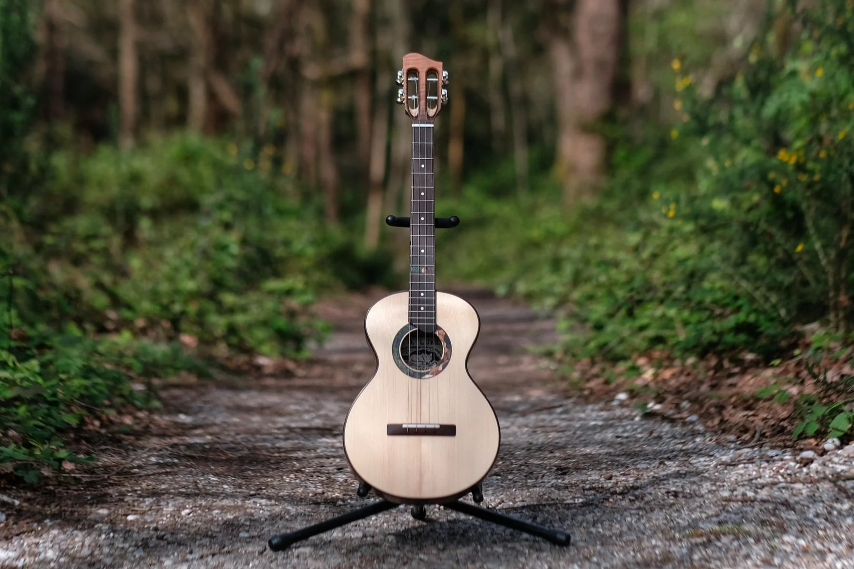 Ukuleles — D.G.Lukes Luthier