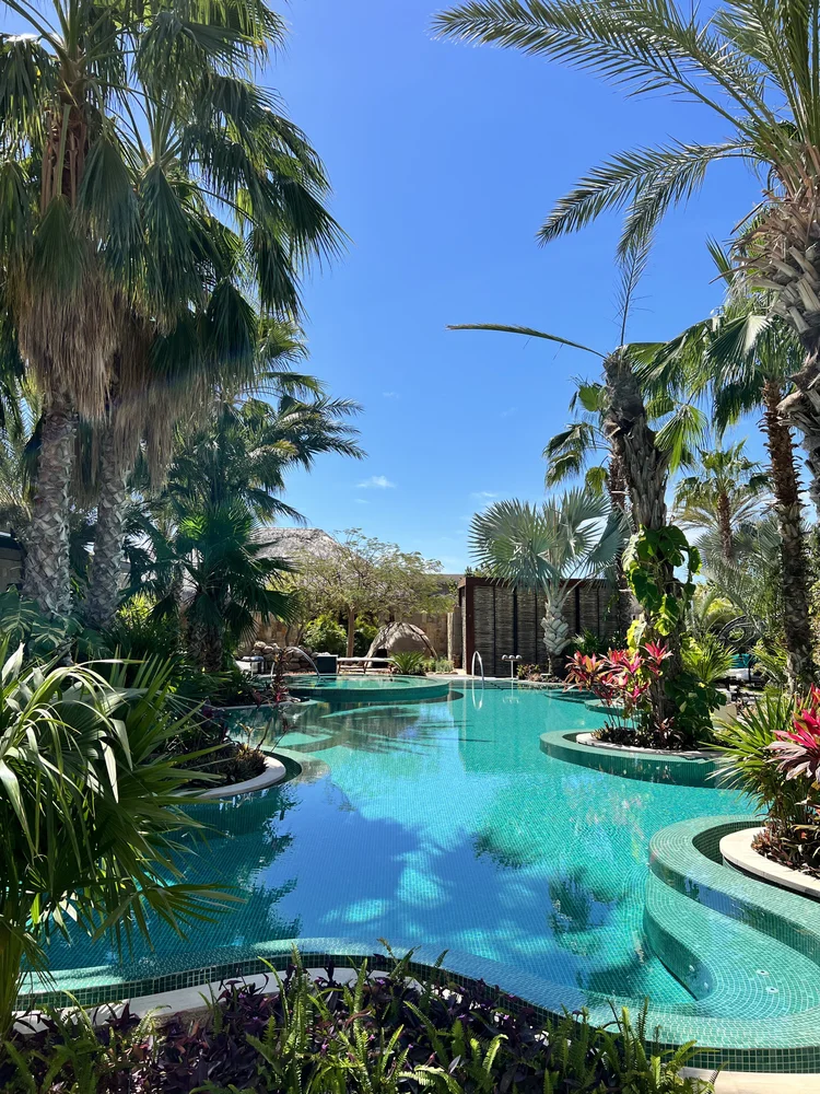 Zadun, a Ritz-Carlton Reserve, San Jose del Cabo [Review] — Shoreline ...