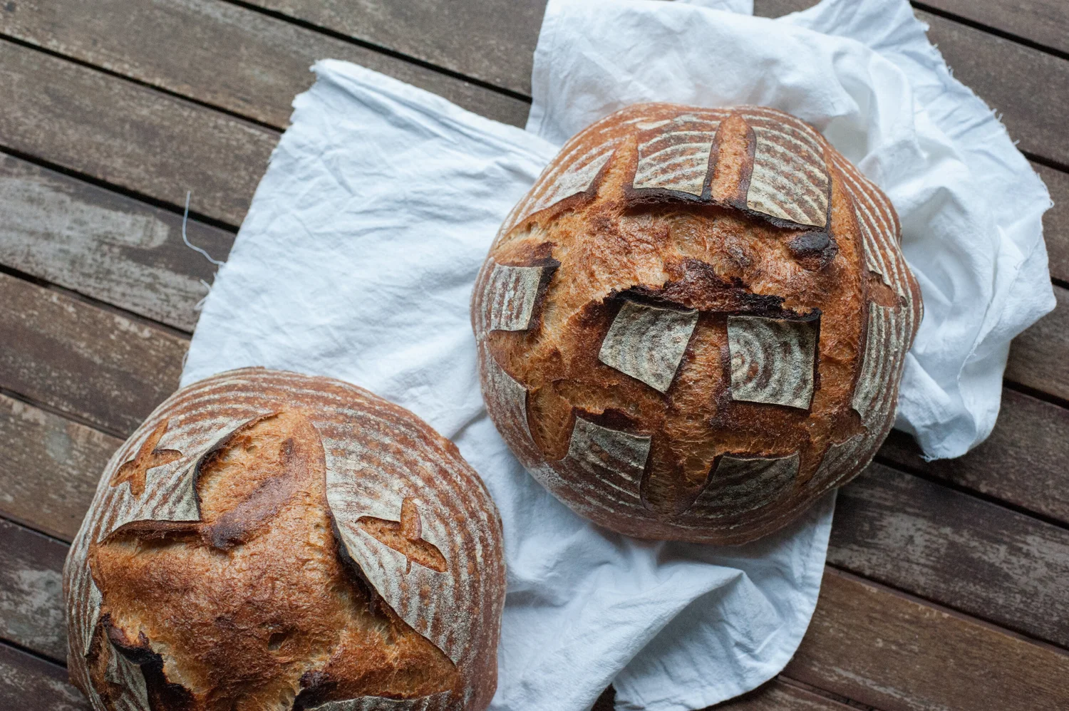 Sunshine Coast Sourdough Co