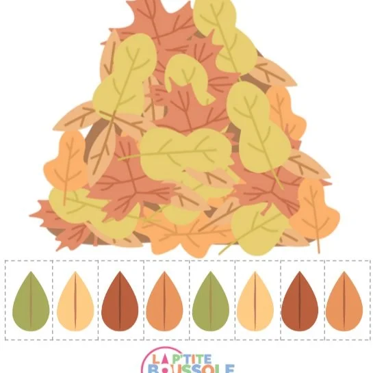 La p'tite boussole — Activité : Mathématiques d'automne