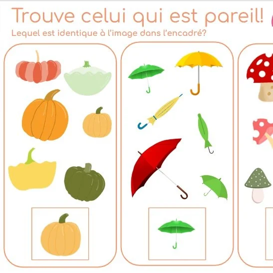 La p'tite boussole — Activité : Mathématiques d'automne