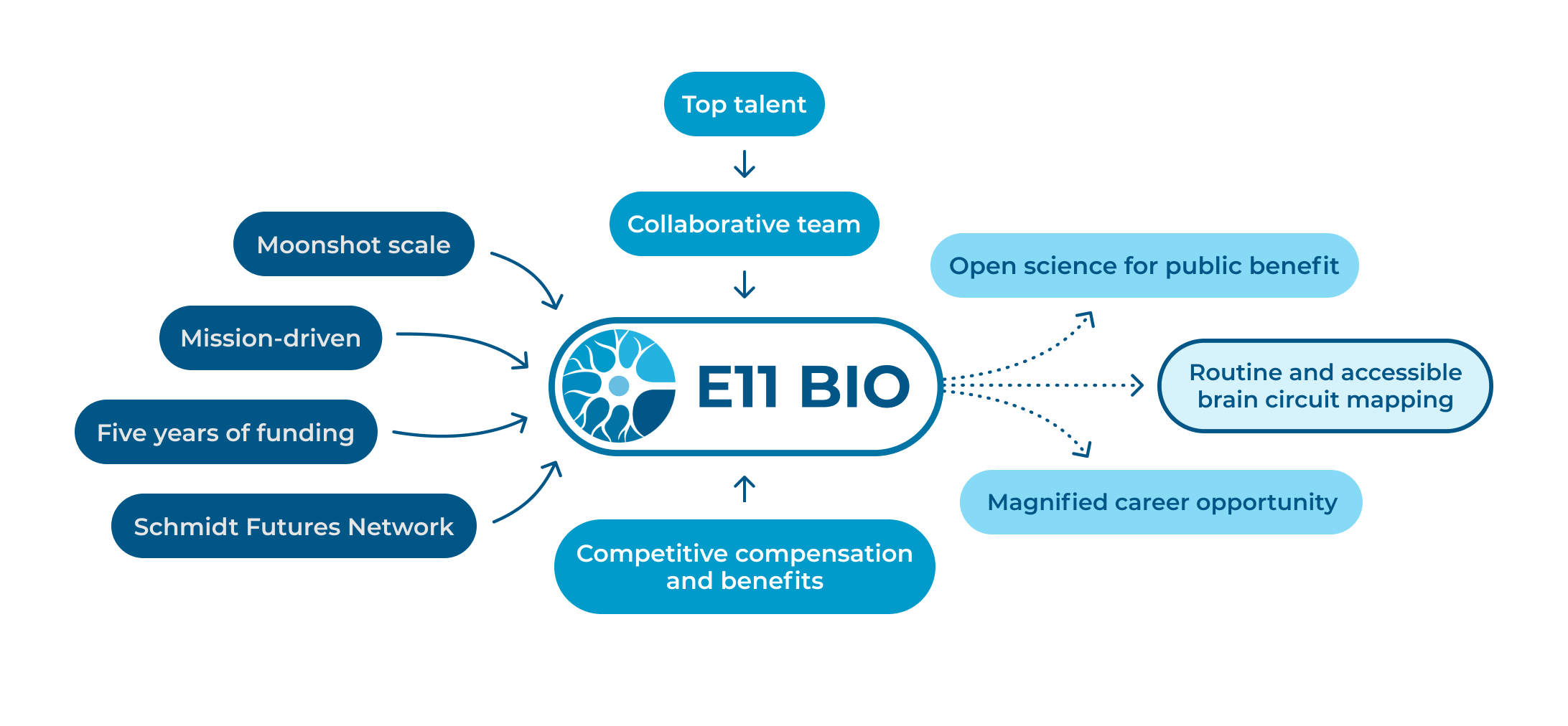 E11 Bio | Moonshot Neuroscience