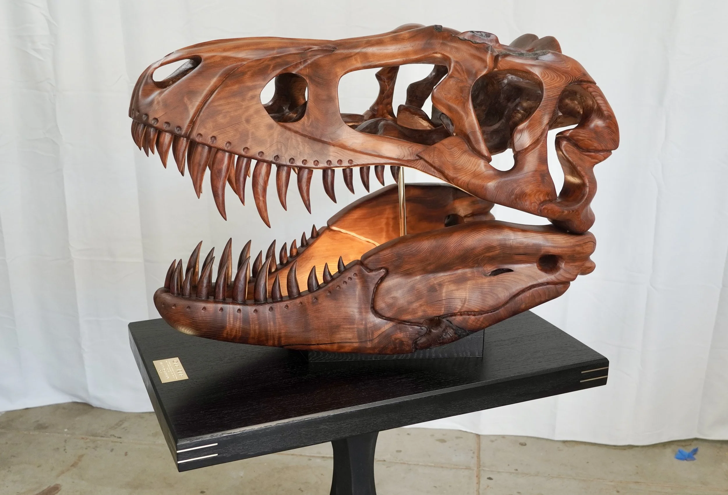 Tyrannosaurus Skull