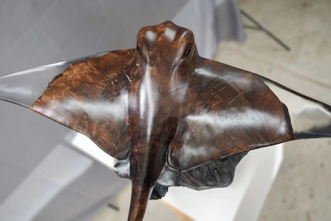 Bat Ray - AVAILABLE — Blake McFarland Sculptures