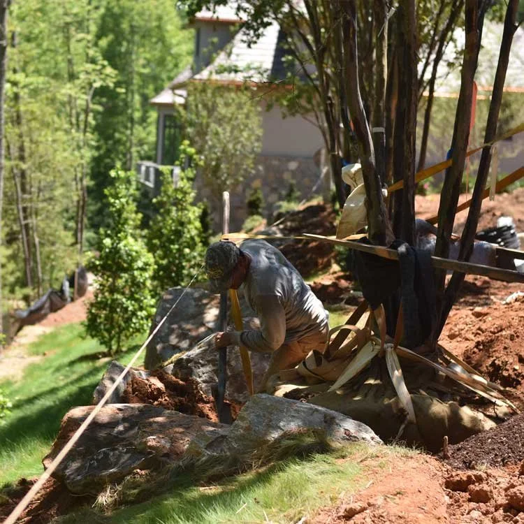 Residential Landscaping & Maintenance in Arden, NC 🌱 Snow Creek Landscaping