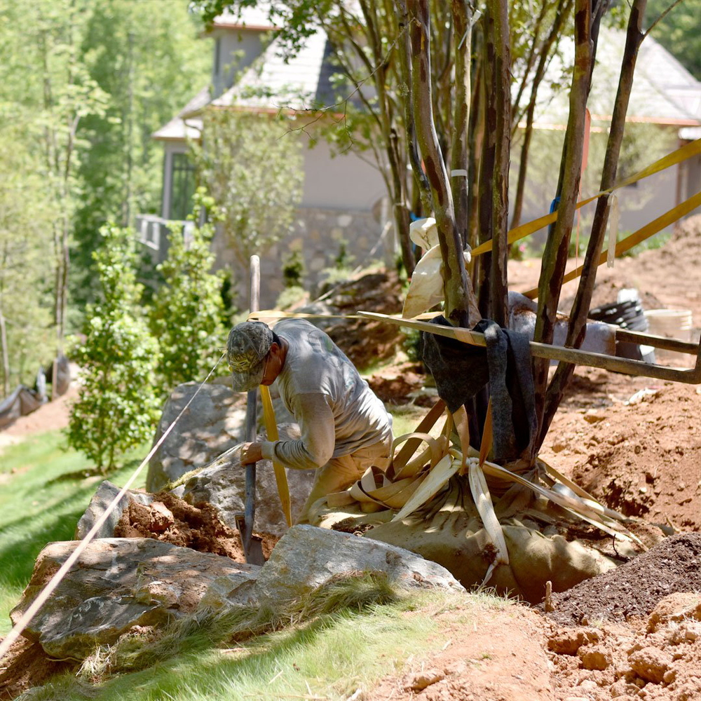 Premier Landscaping Services in Asheville & Hendersonville, NC 🌿 Snow Creek