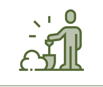 Residential Landscaping & Maintenance in Arden, NC 🌱 Snow Creek Landscaping