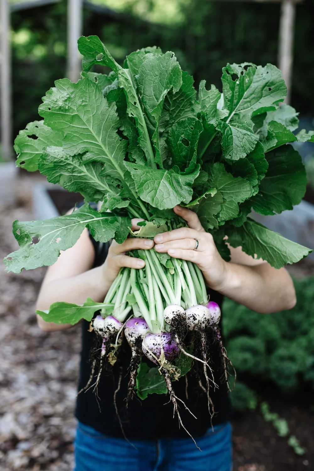 Thyme & Maple Glazed Turnips — The Purposeful You · Garden ...