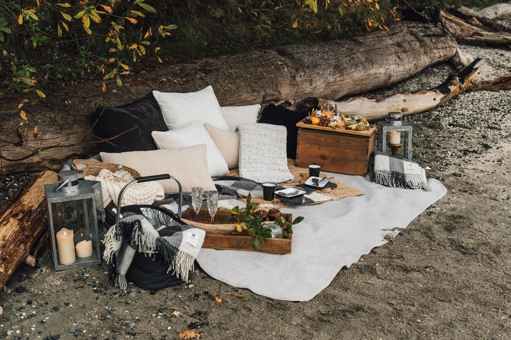 The Ultimate Surprise Picnic for Conrad's Birthday! — The Purposeful ...