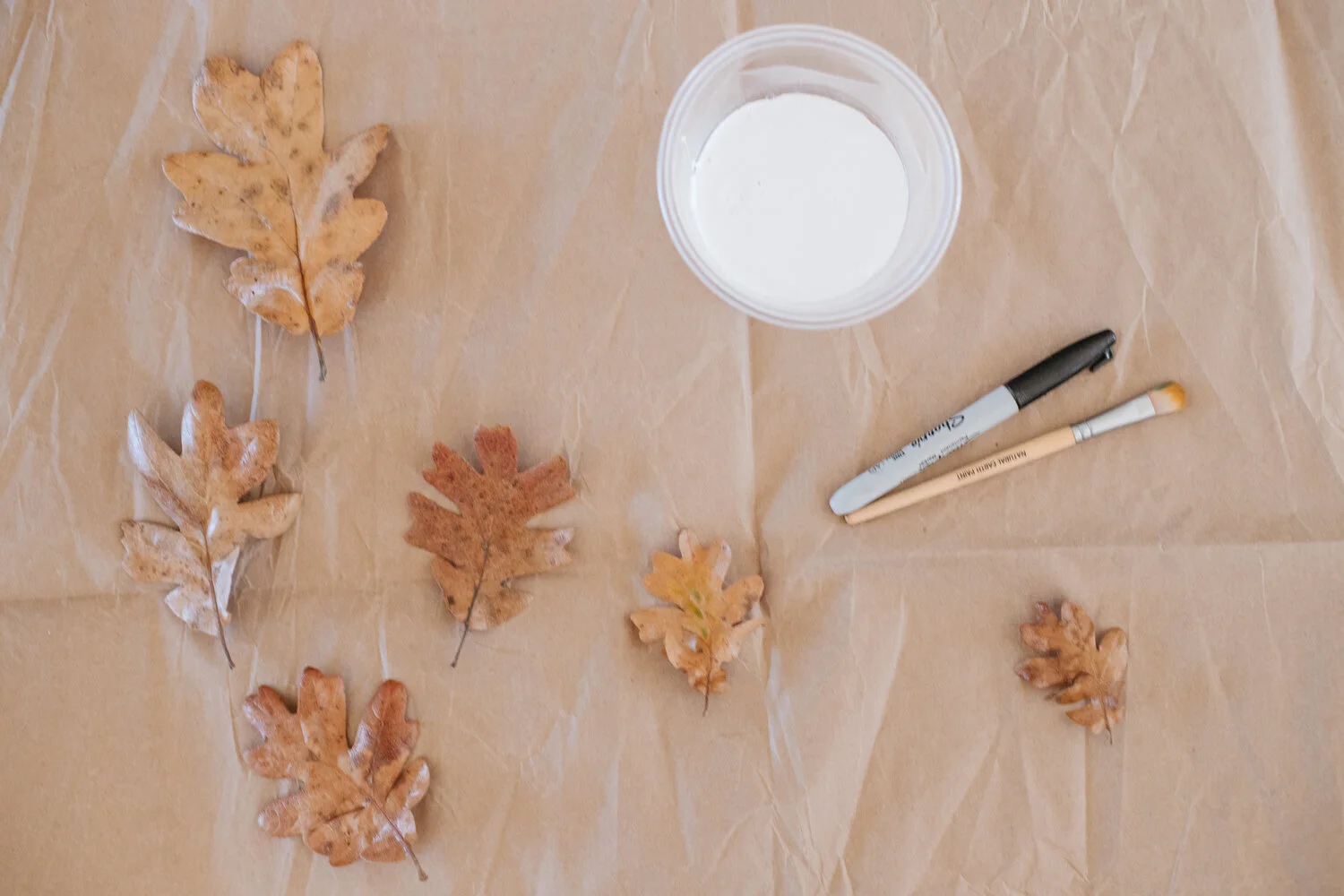 DIY Ghosts with Garry Oak Leaves — The Purposeful You · Garden ...