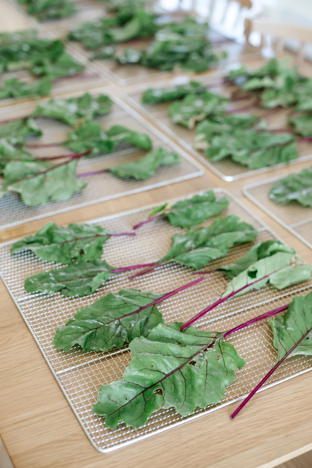 How to Dehydrate Beet Leaves — The Purposeful You · Garden ...