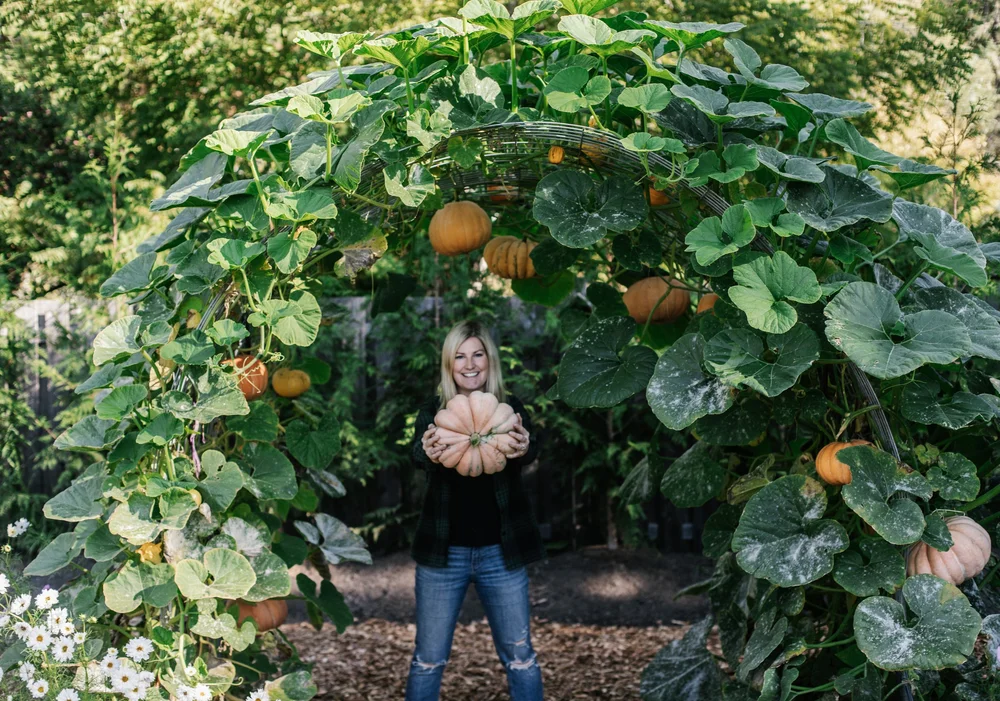 How to Grow Pumpkins Vertically — The Purposeful You · Garden ...
