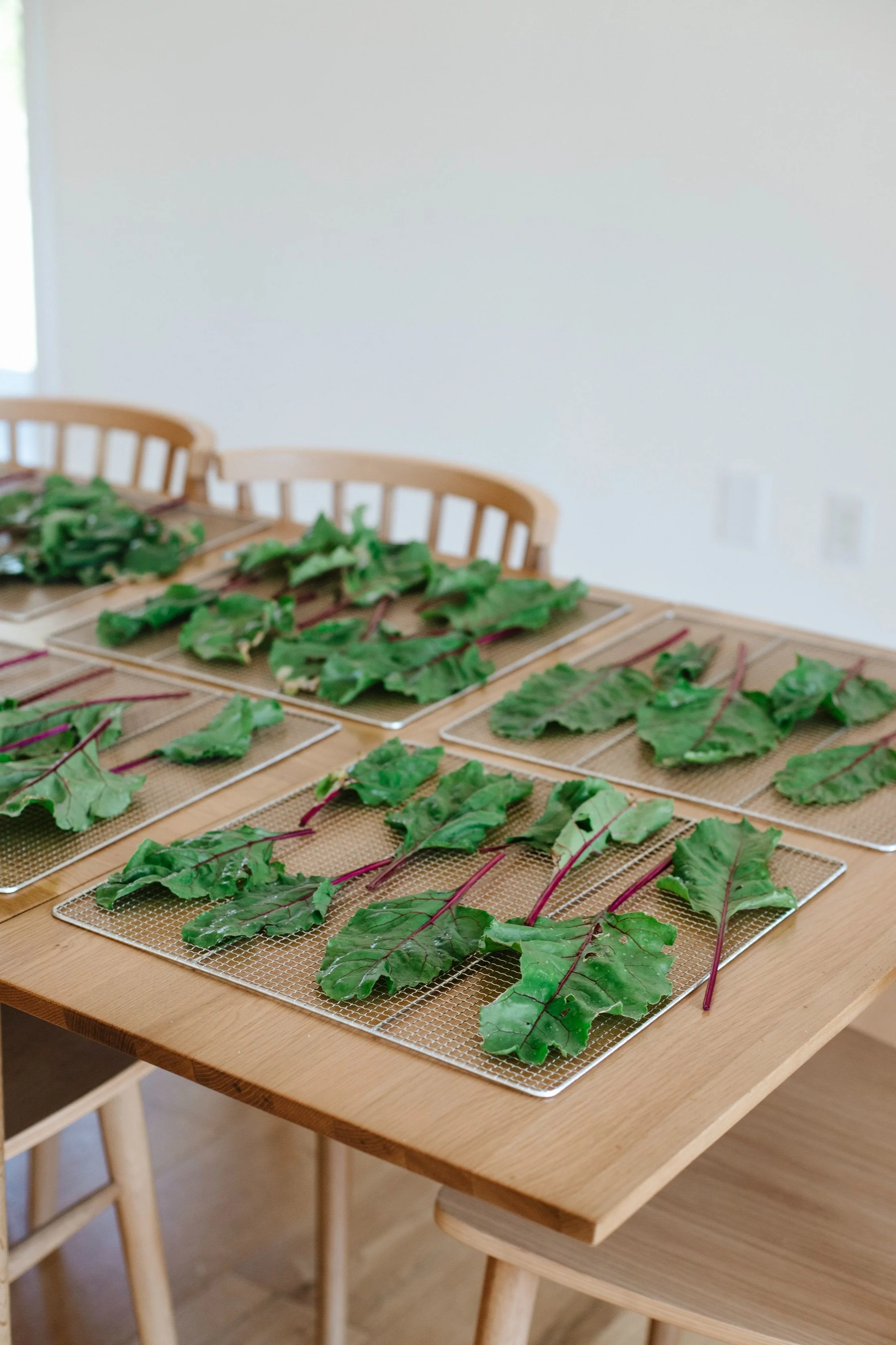 How to Dehydrate Beet Leaves — The Purposeful You · Garden ...