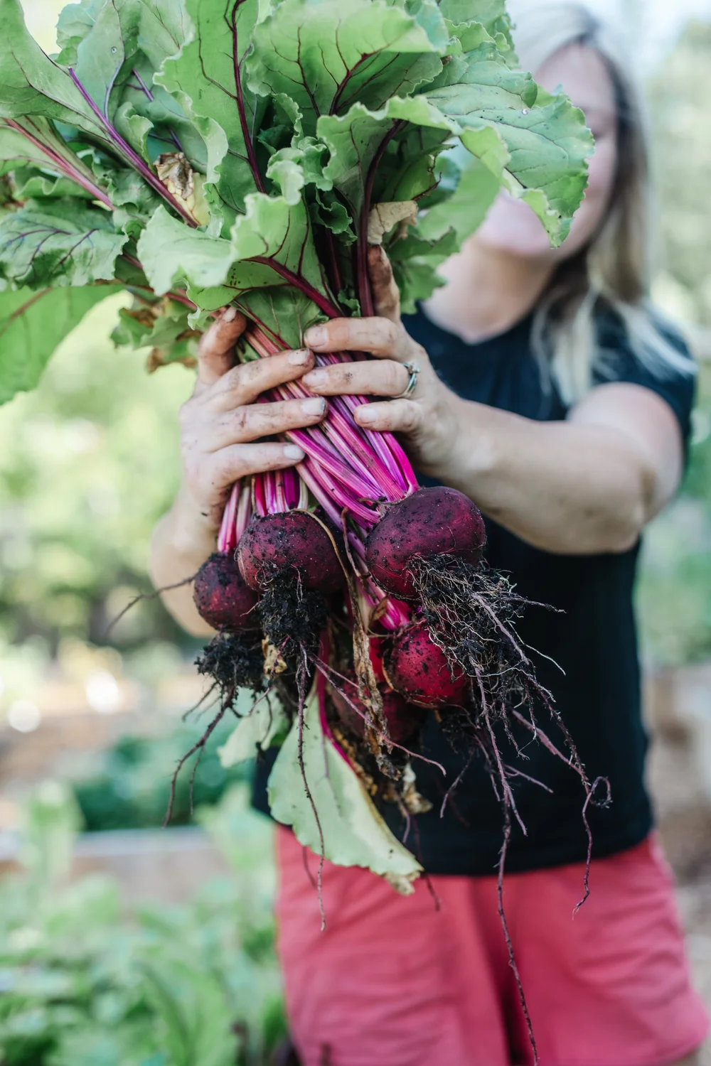 How to Dehydrate Beet Leaves — The Purposeful You · Garden ...