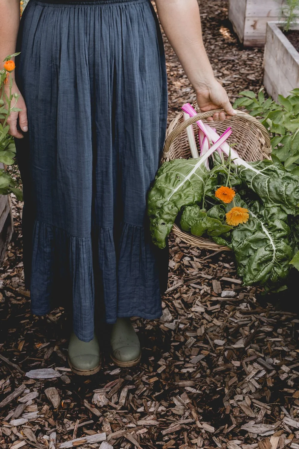 Growing a Fall Garden (+ A Layout Plan!) — The Purposeful You · Garden ...