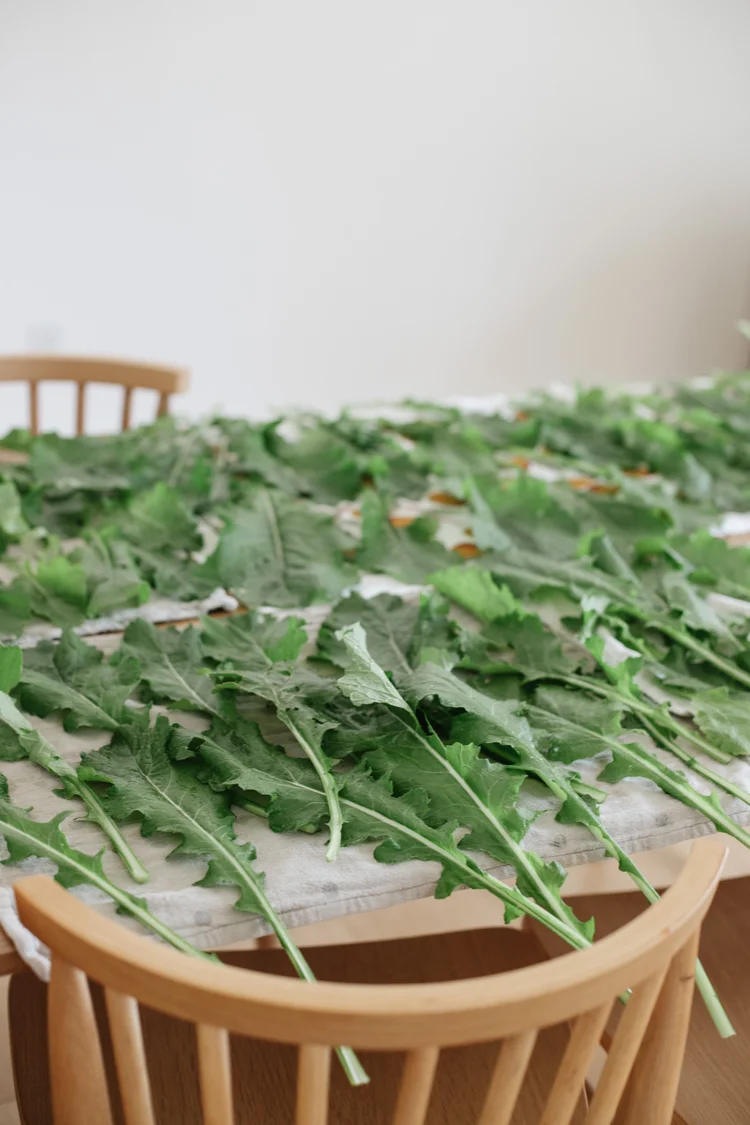 Transform Garden Waste into Nutritious Dehydrated Powders — The ...