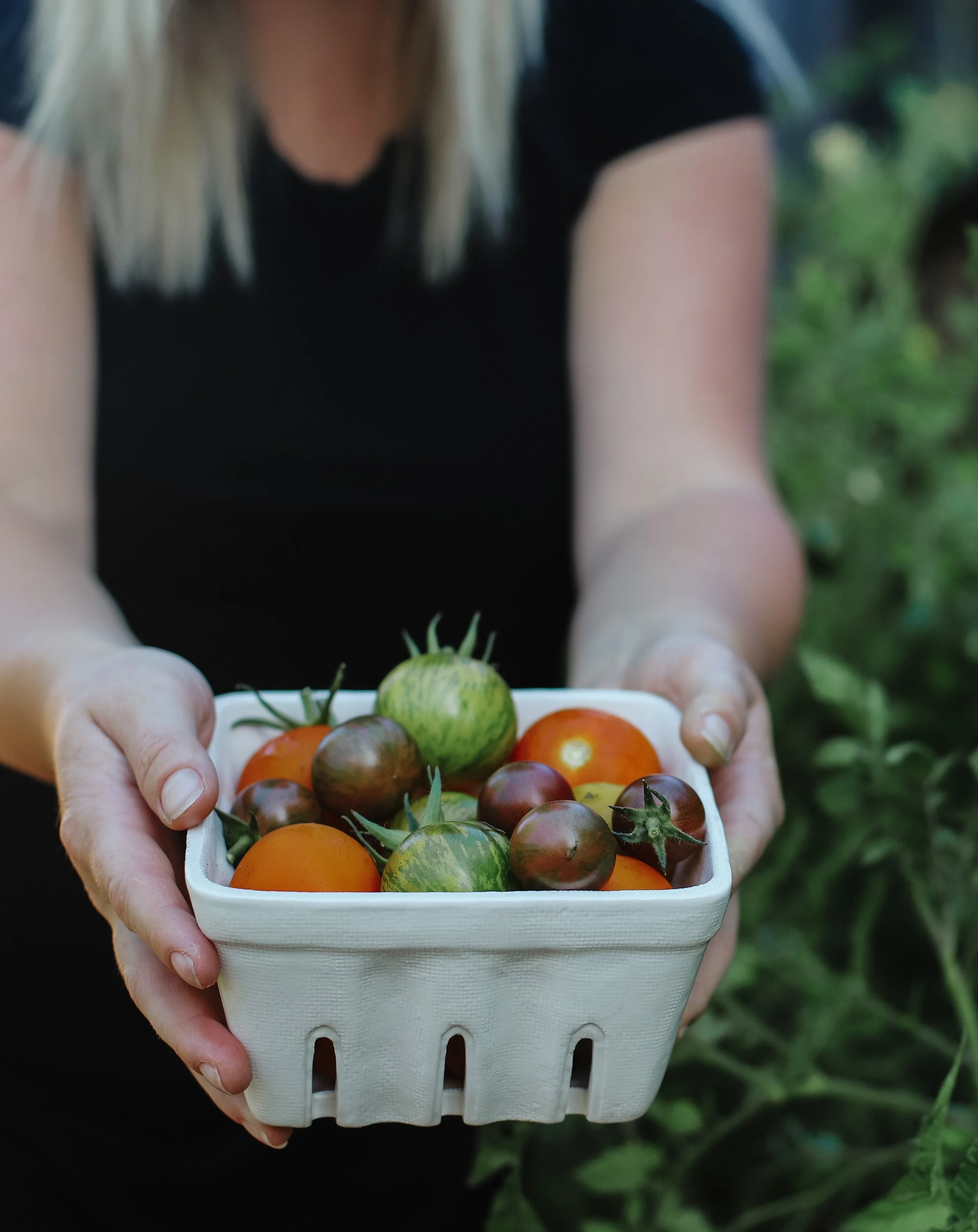 Tomato Planting & Growing Tips — The Purposeful You · Garden ...
