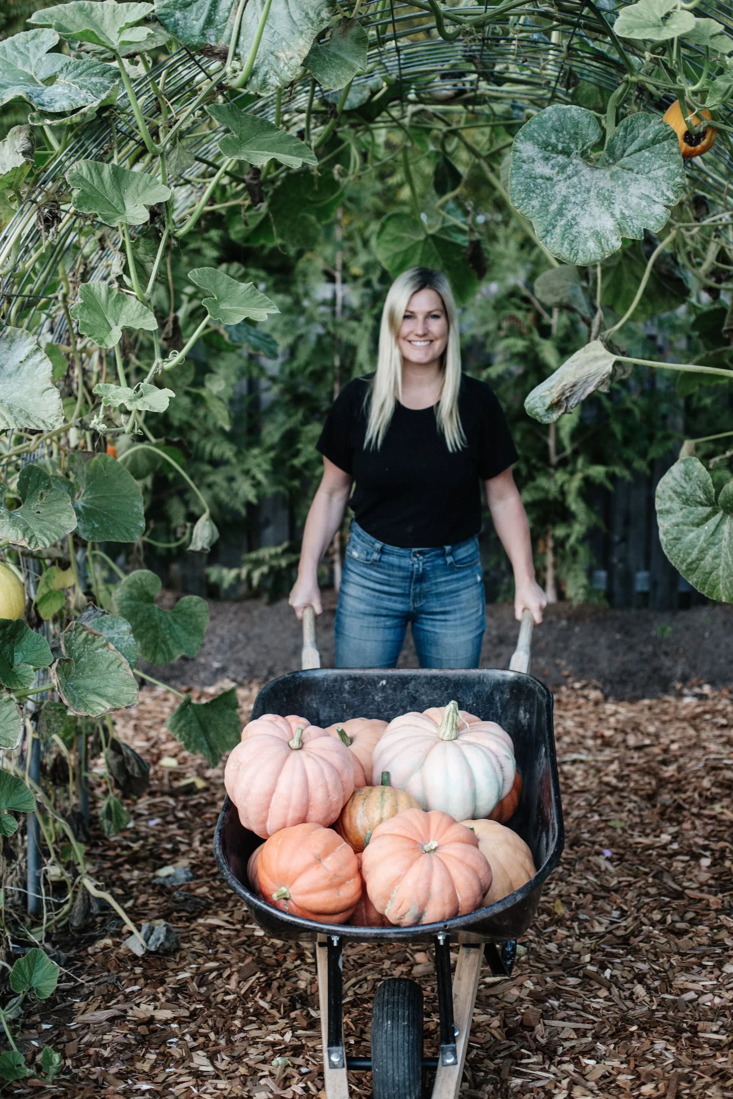 How to Grow Pumpkins Vertically — The Purposeful You · Garden ...