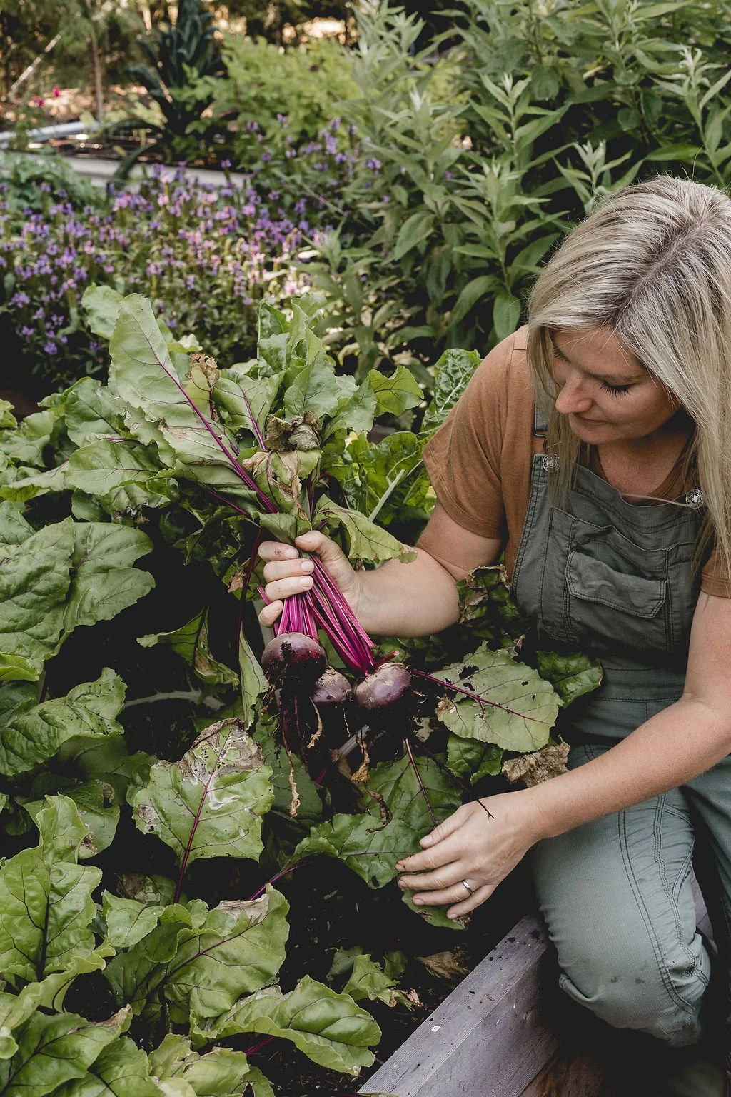 Growing a Fall Garden (+ A Layout Plan!) — The Purposeful You · Garden ...