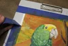 How I Painted the Cutest Double Yellow Headed Amazon: Arlo — Lauren ...
