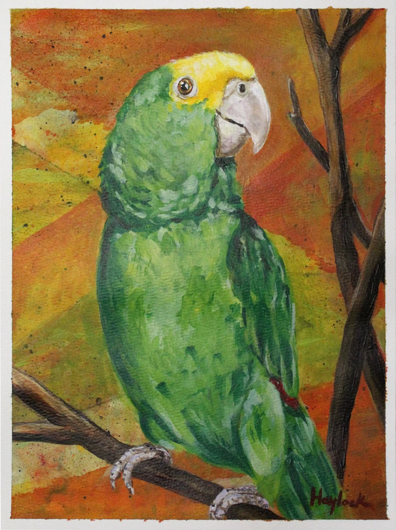 How I Painted the Cutest Double Yellow Headed Amazon: Arlo — Lauren ...