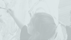 ADMISSIONS — Tree Top Academy